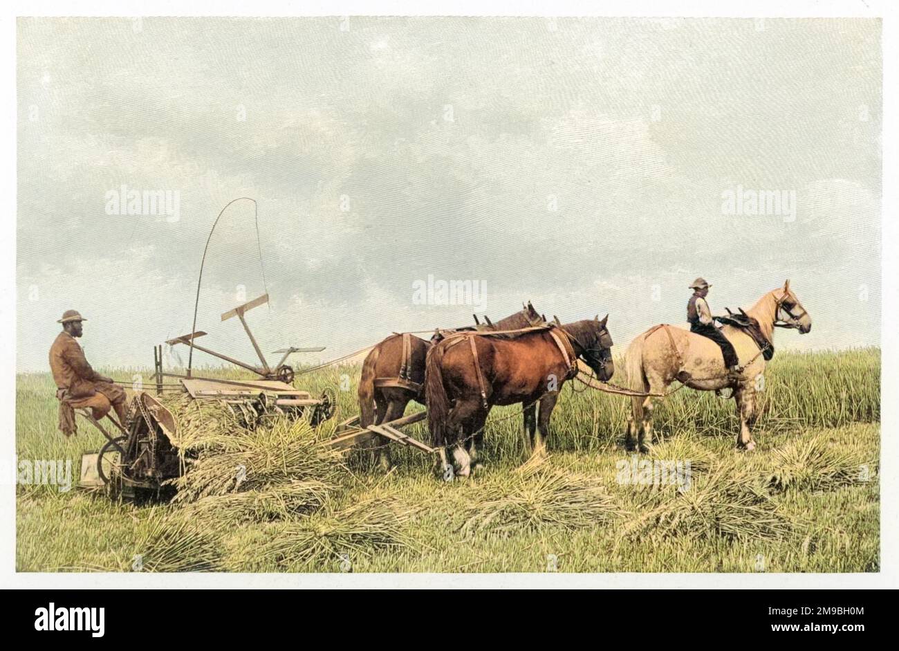 A reaping scene Stock Photo - Alamy