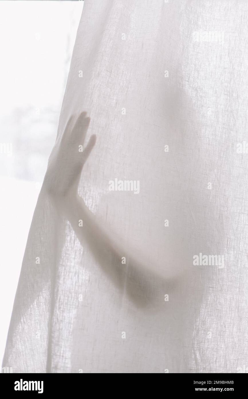 Sunshine window room hi-res stock photography and images - Alamy