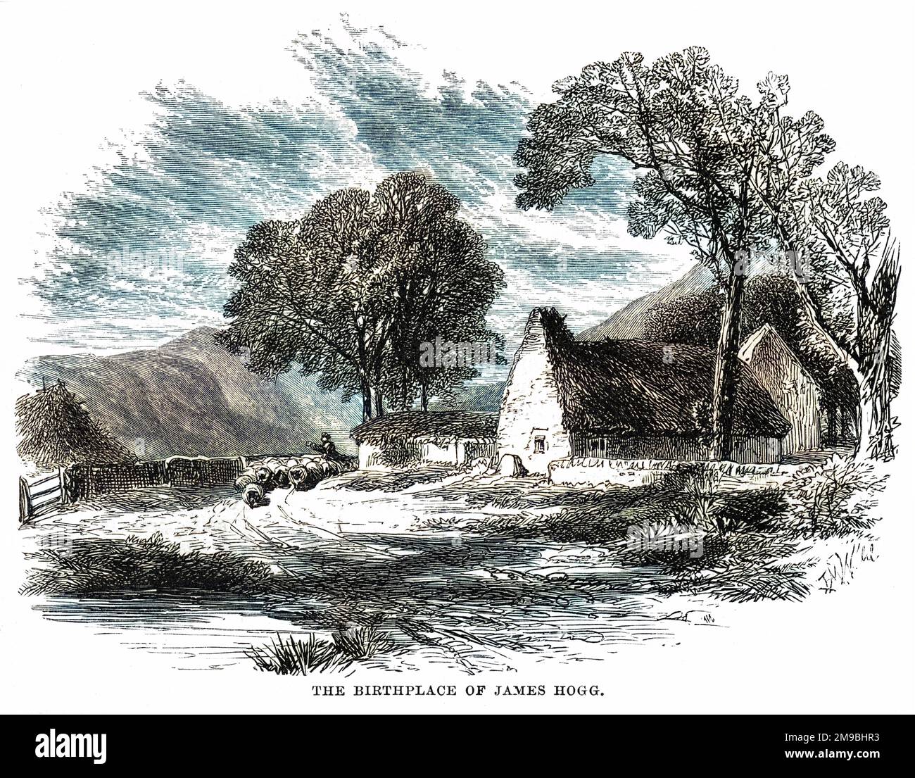 BIRTHPLACE OF JAMES HOGG, Scottish writer Stock Photo - Alamy
