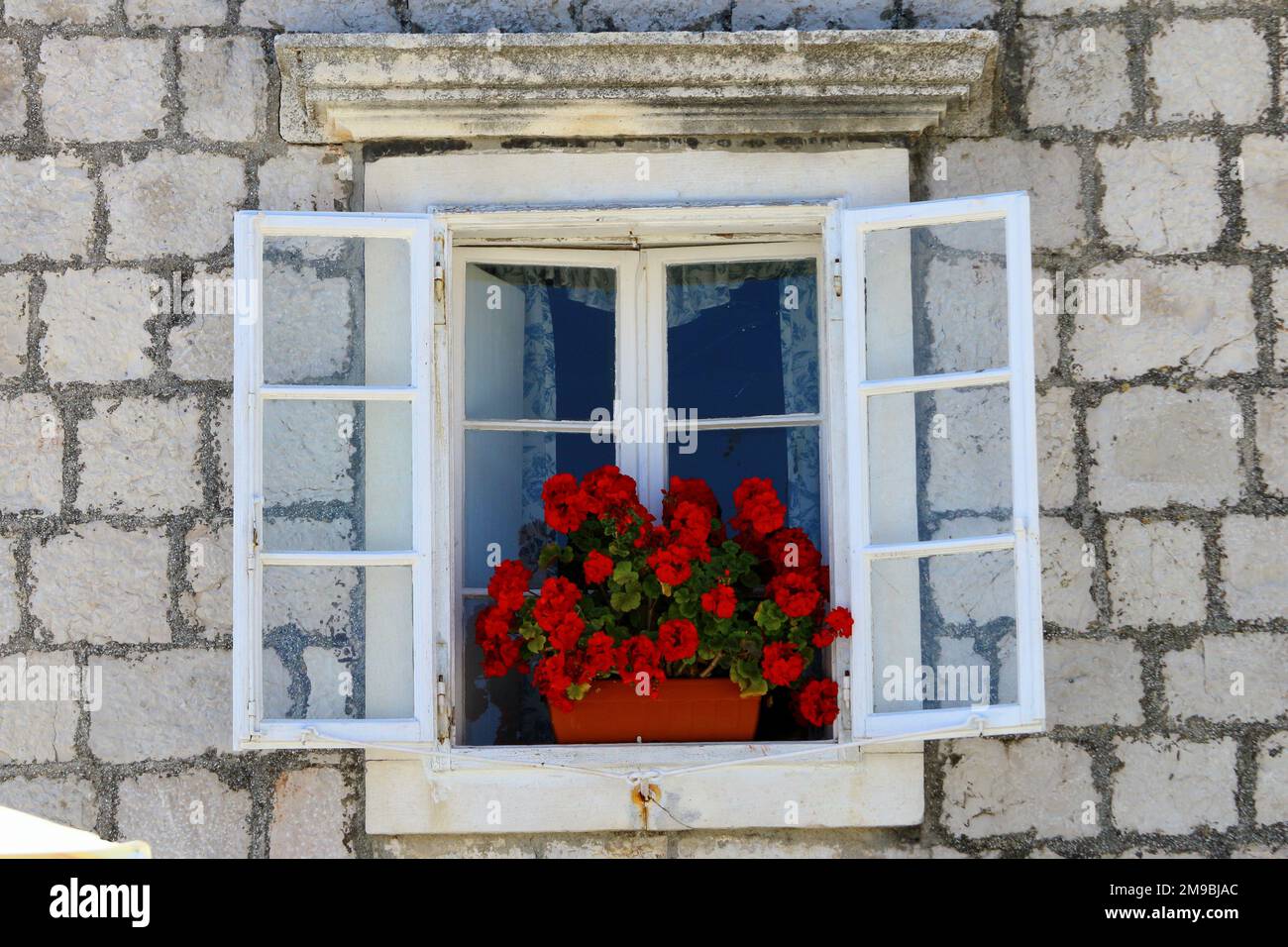 a flower box full of red geraniums (Pelargonium) in a window of a stone ...