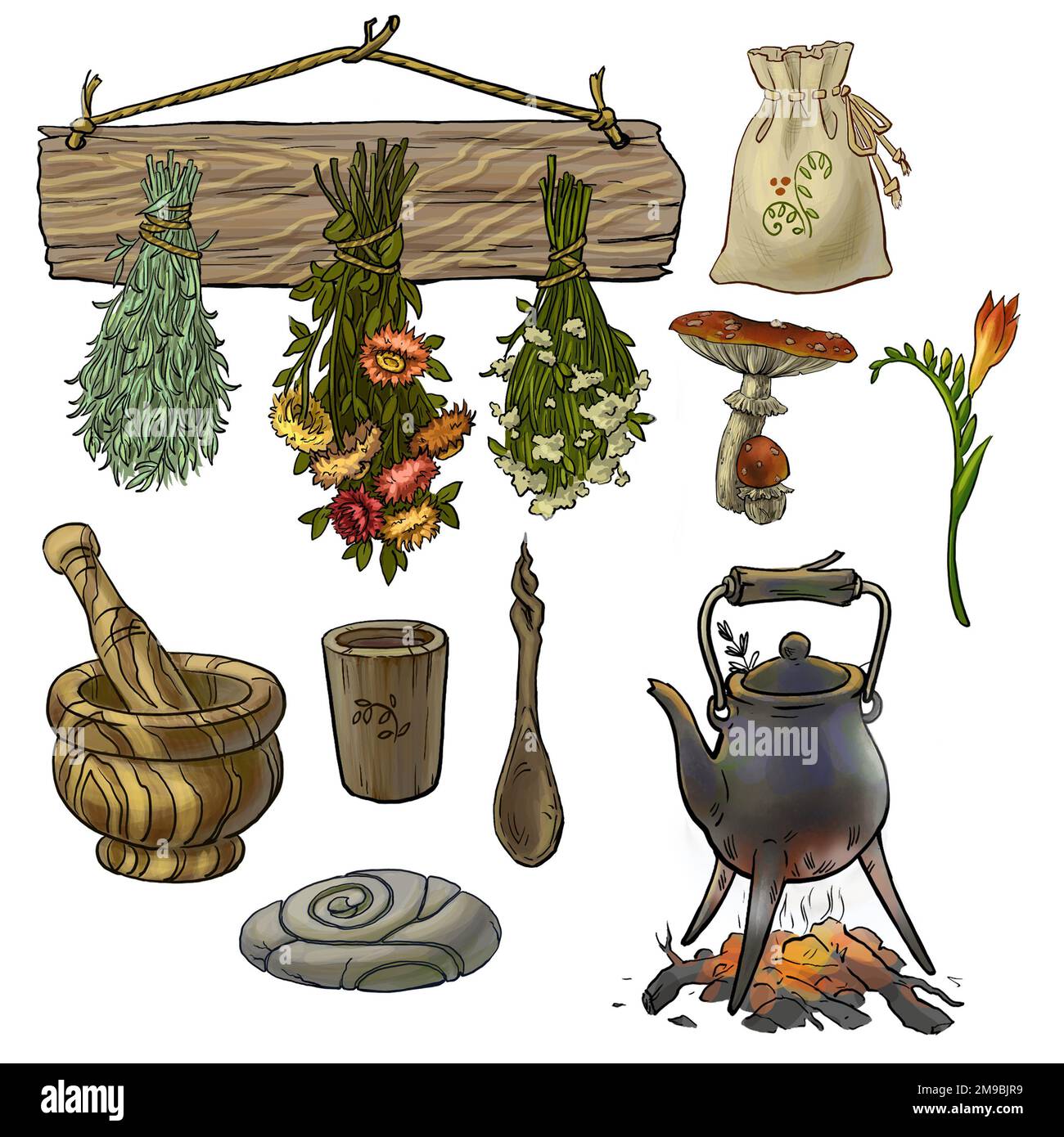 illustration bouquets of dried flowers 6. High quality photo Stock ...