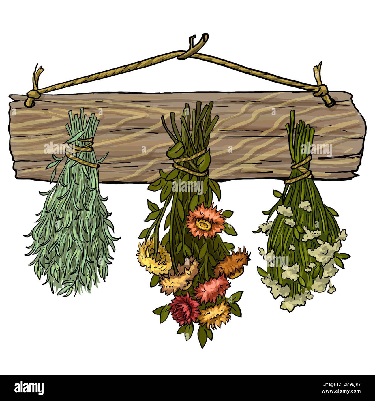 illustration bouquets of dried flowers. High quality photo Stock Photo ...