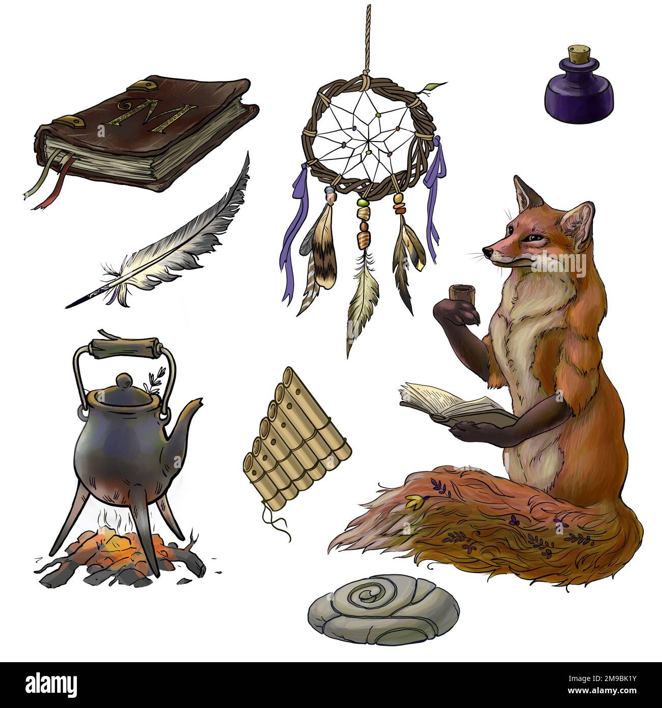 Illustration of a fox with a book. High quality illustration Stock ...