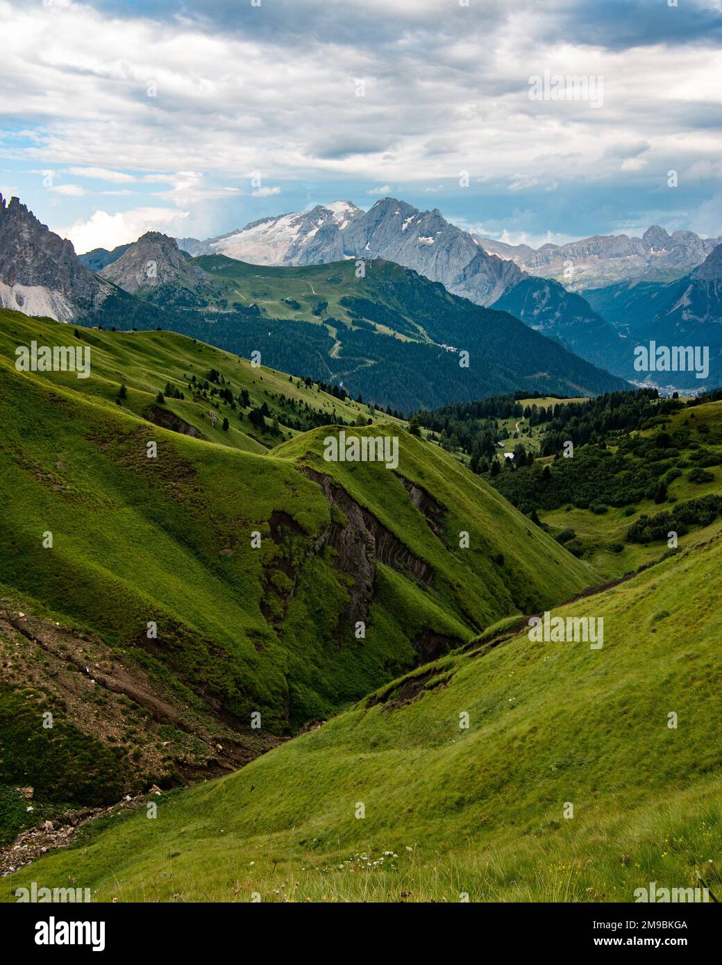 Alpine landscape with mountains and green meadows and a mountain range ...
