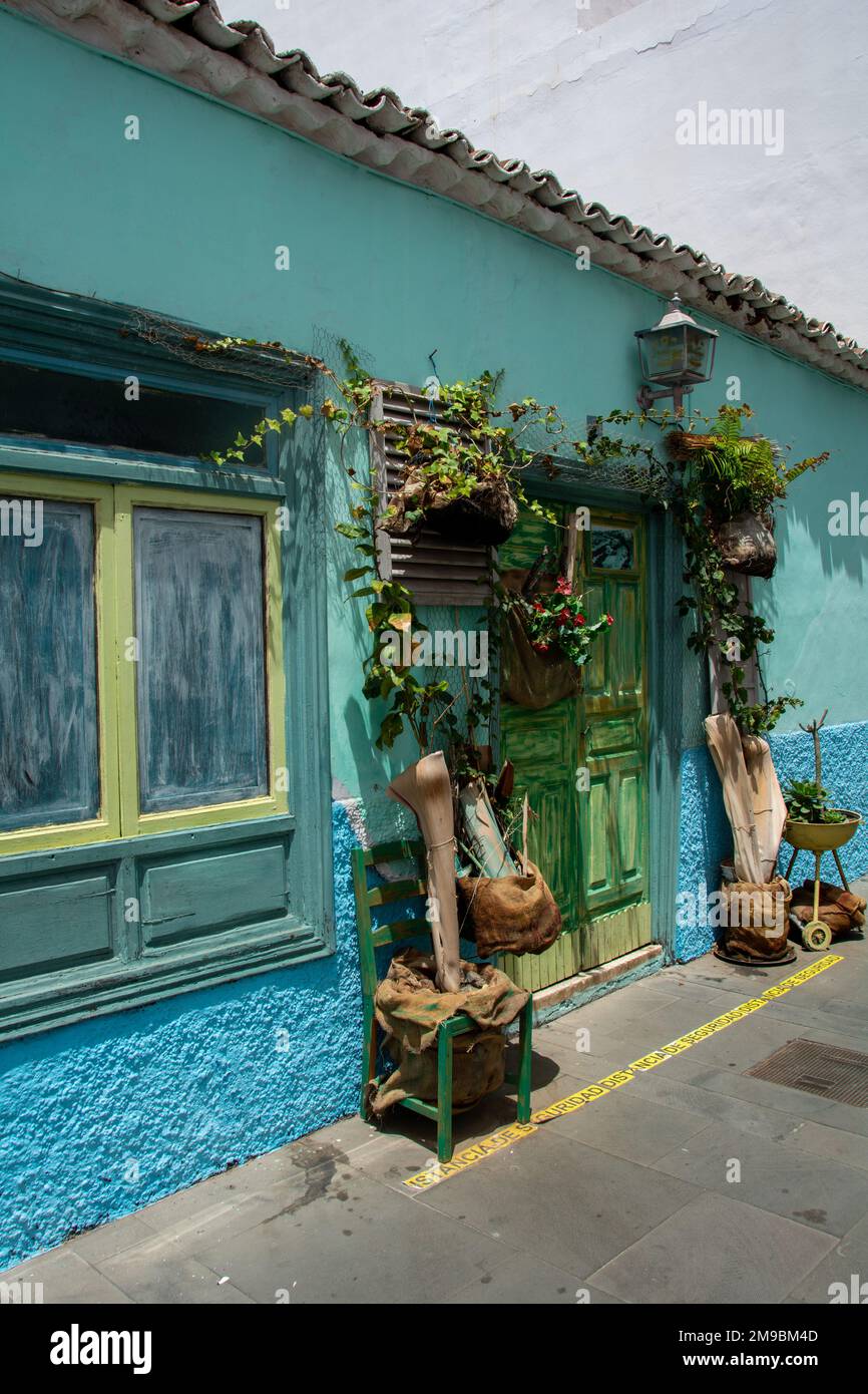 Old house facade with green windows, shutters ,door, plants and ...