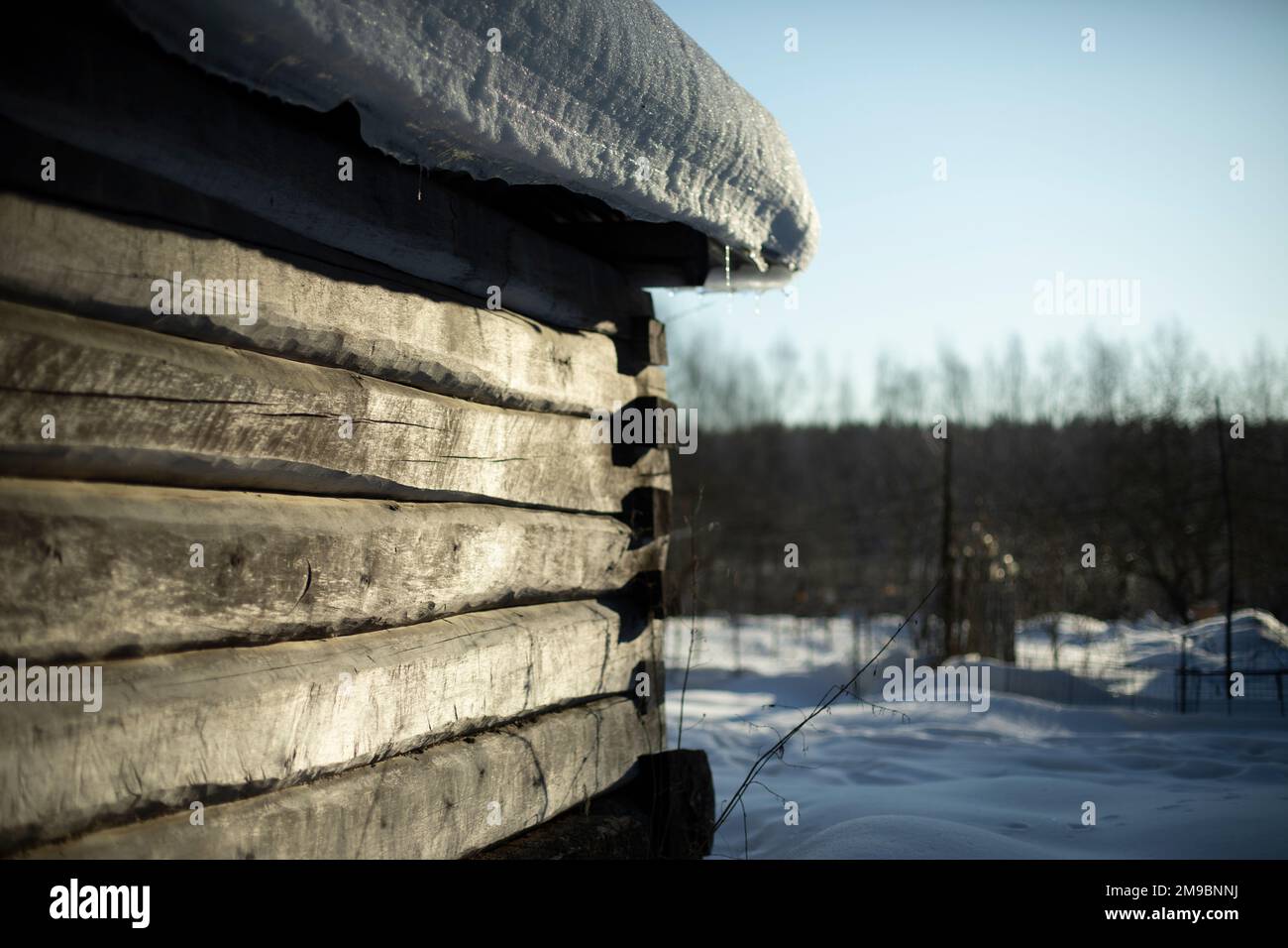 Winter in Russia. Snow on roof of hut. Old house made of wood. Wall of ...