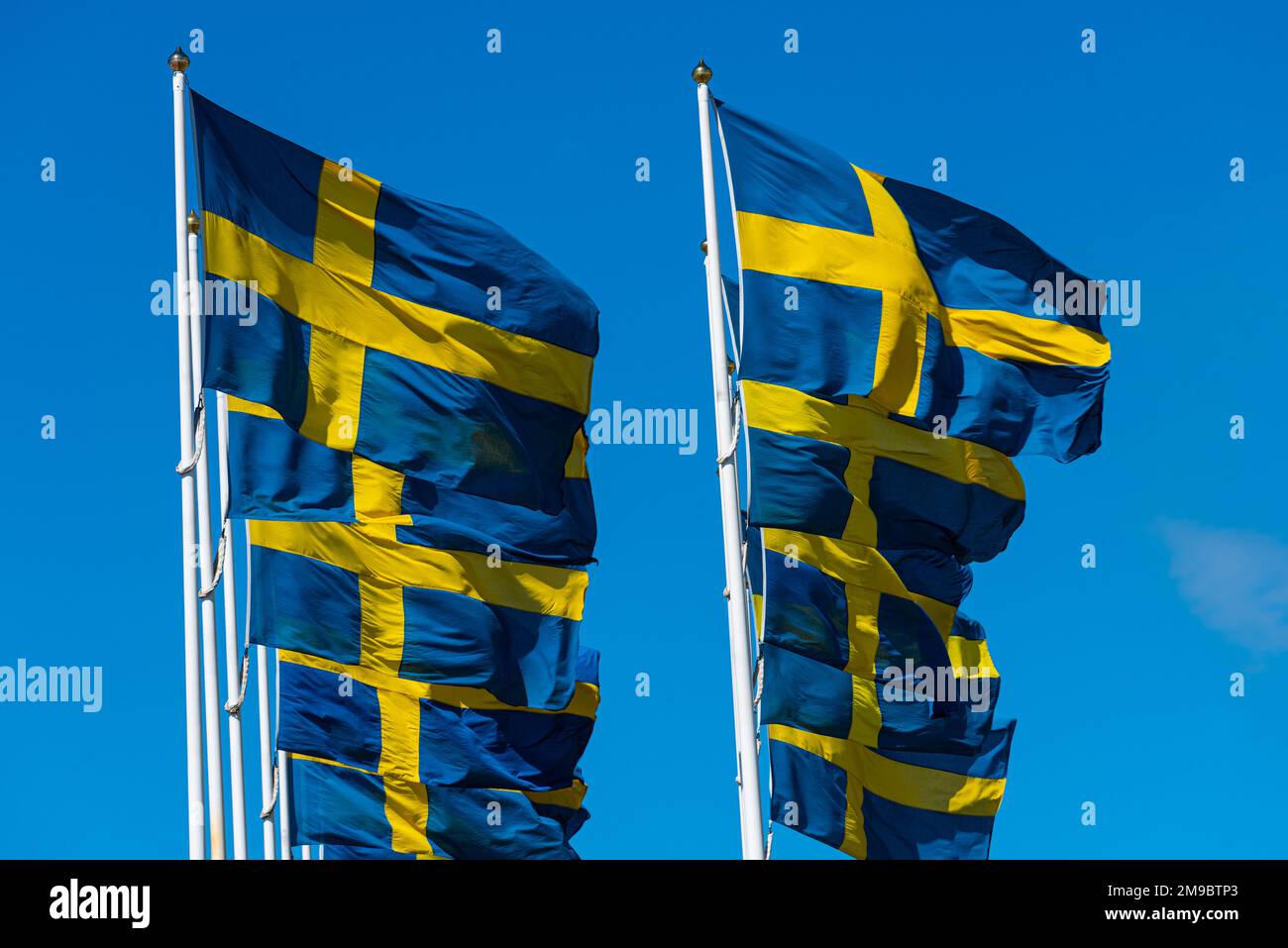 Several swedish flags flying on flagpoles Stock Photo - Alamy