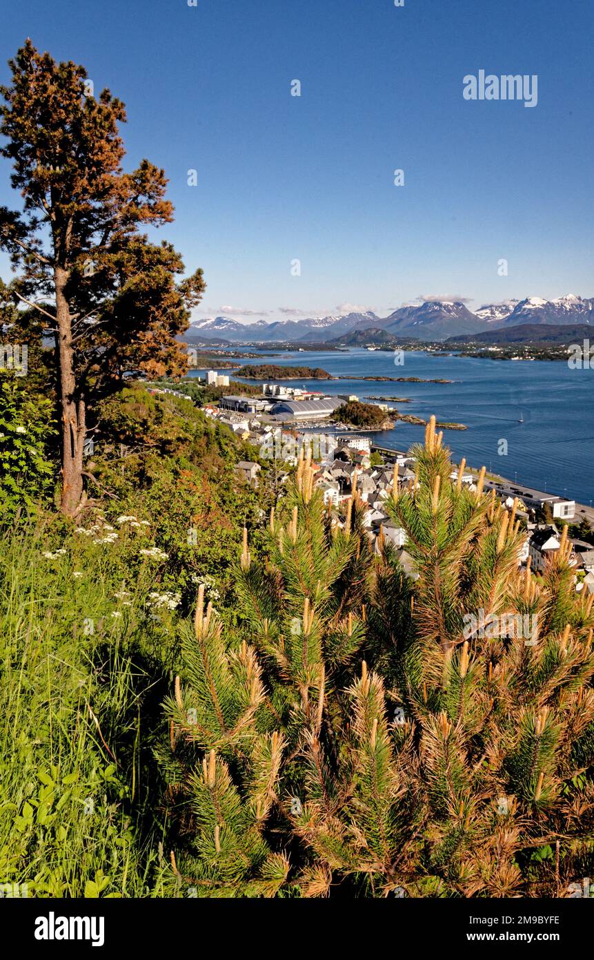 View of Alesund from Fjellstua, Mt. Aksla Mountain Top, Alesund, Norway ...