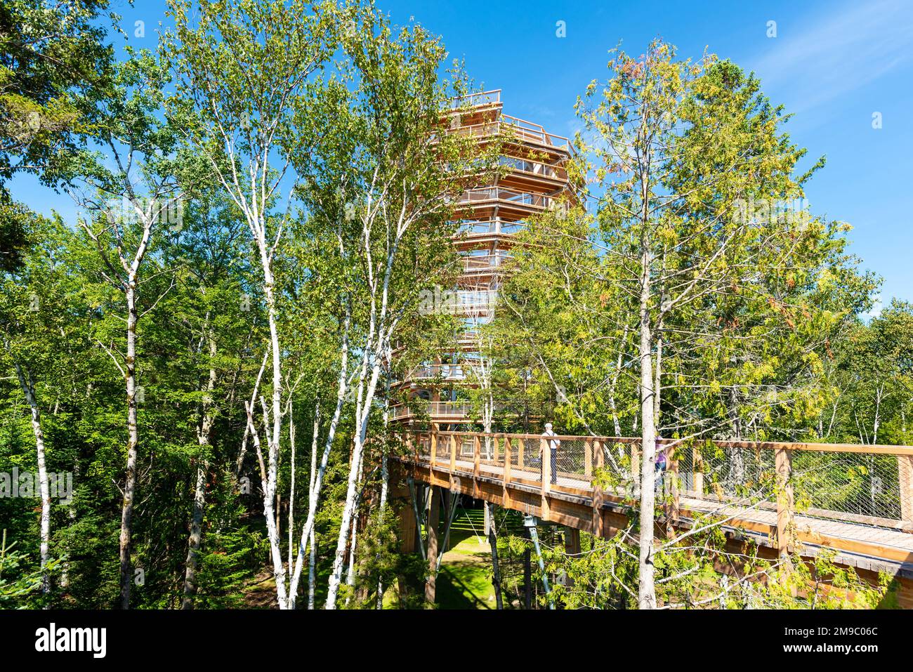A wooden tower and an elevated boardwalk in the Laurentian boreal ...