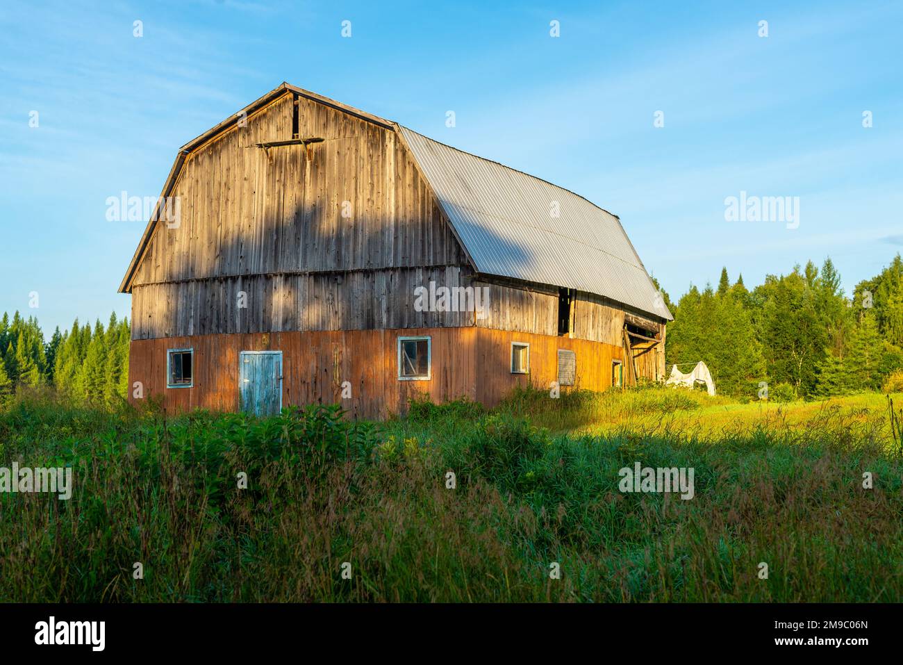 Quebec forest hi-res stock photography and images - Alamy