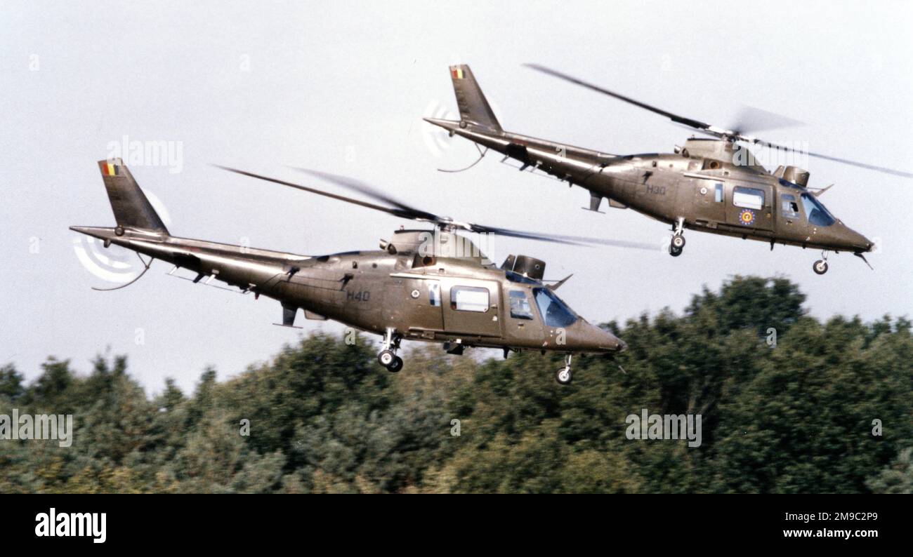 Force terrestre Belge - Agusta A109BA Hirundo H-40 - OT-AKH (msn 0340 ...