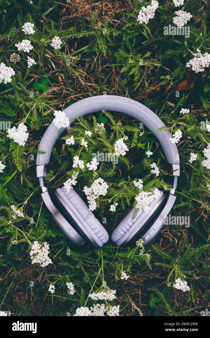 Headphone banner hi-res stock photography and images - Alamy