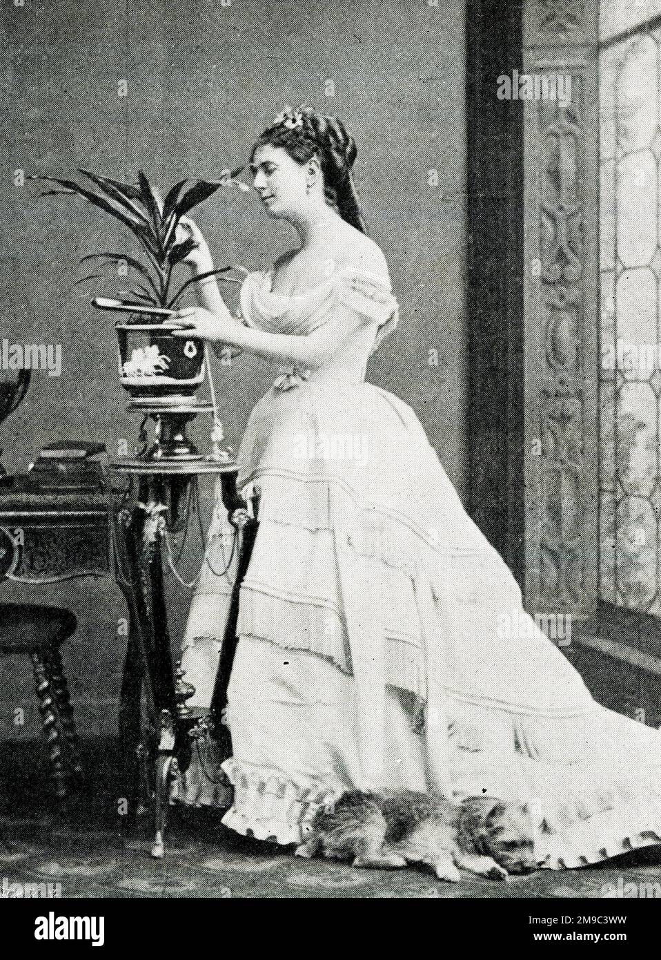 Courtesan marguerite hi-res stock photography and images - Alamy