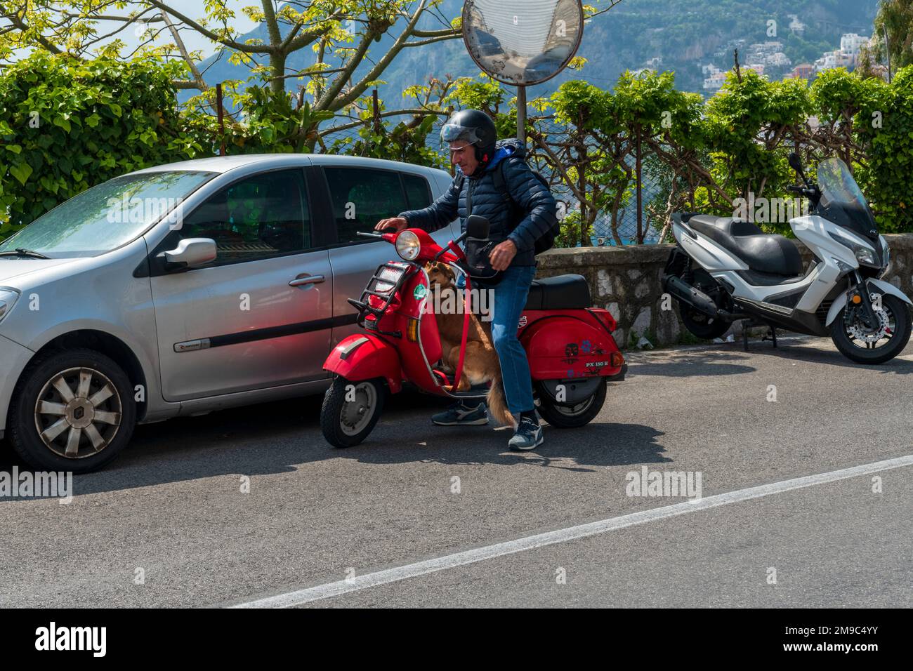 Dog riding a motorcycle hi-res stock photography and images - Alamy