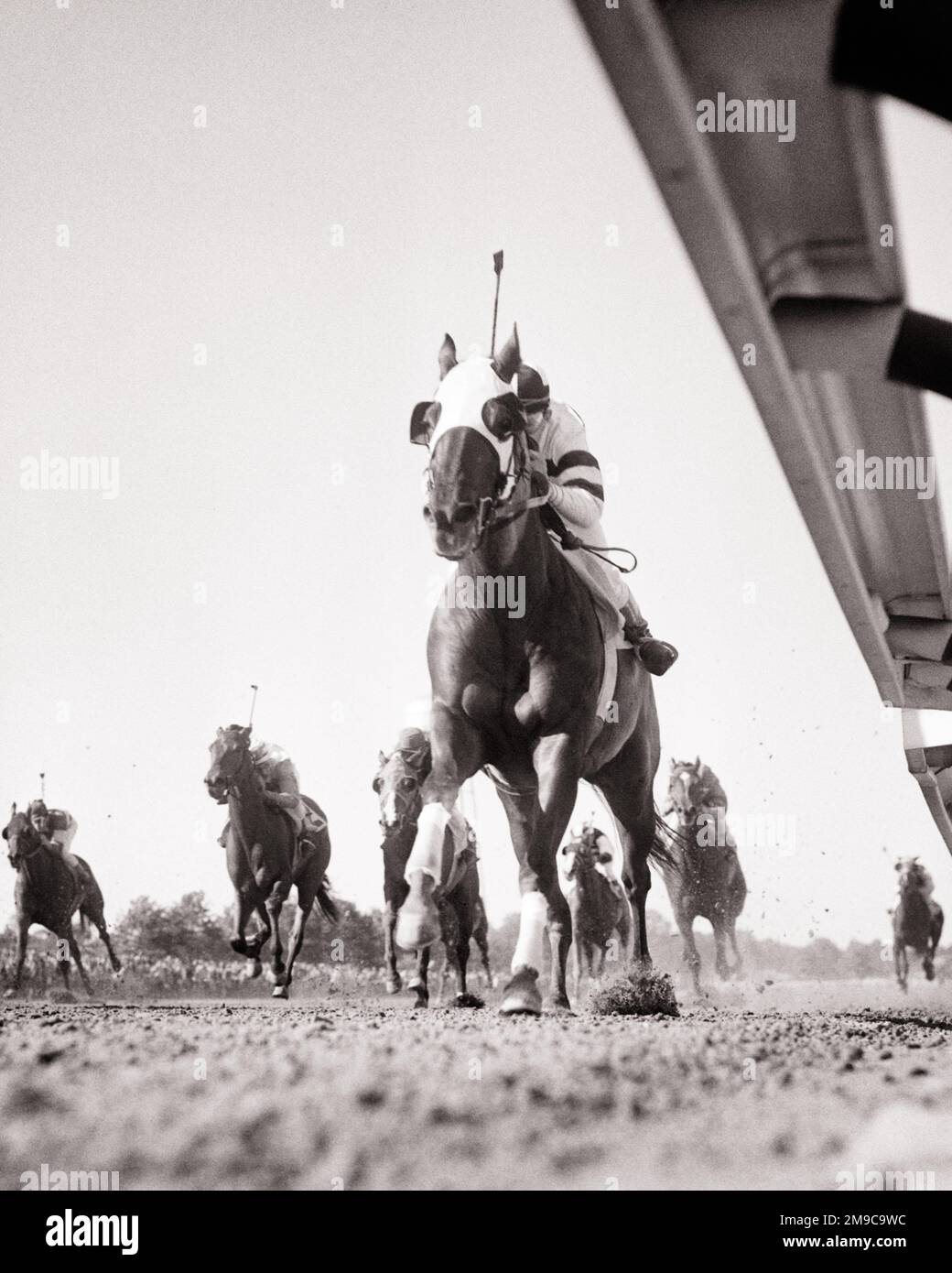 Low angle shot jockey hi-res stock photography and images - Alamy