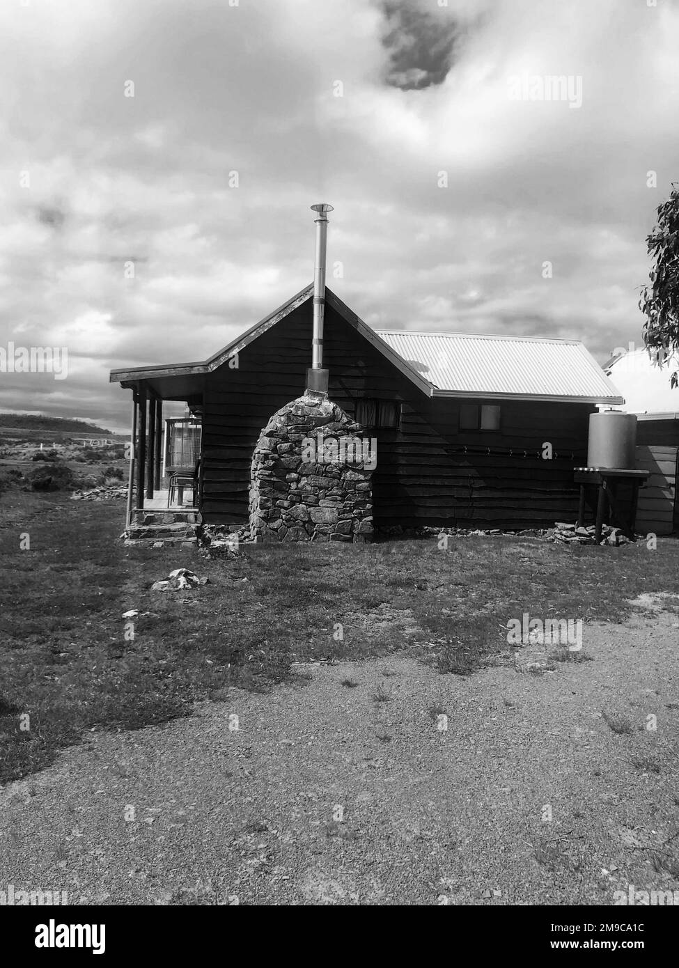 Fly on stone in nature Black and White Stock Photos & Images - Alamy