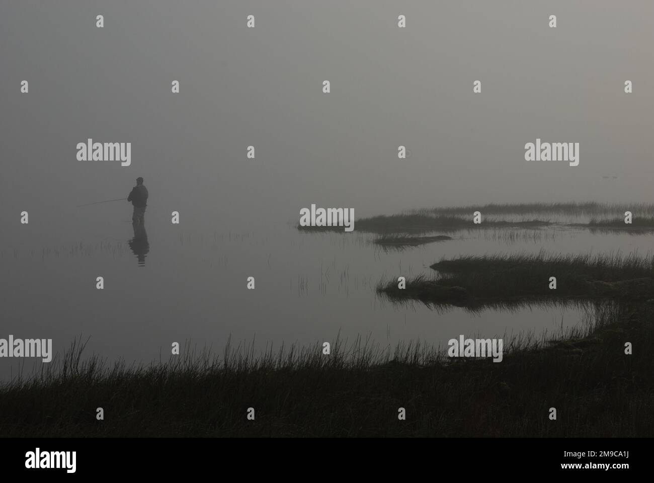 Lone angler fishing on a misty lake Stock Photo - Alamy