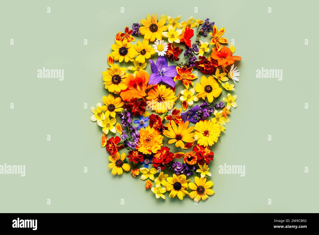 Human head symbol flowers hi-res stock photography and images - Alamy