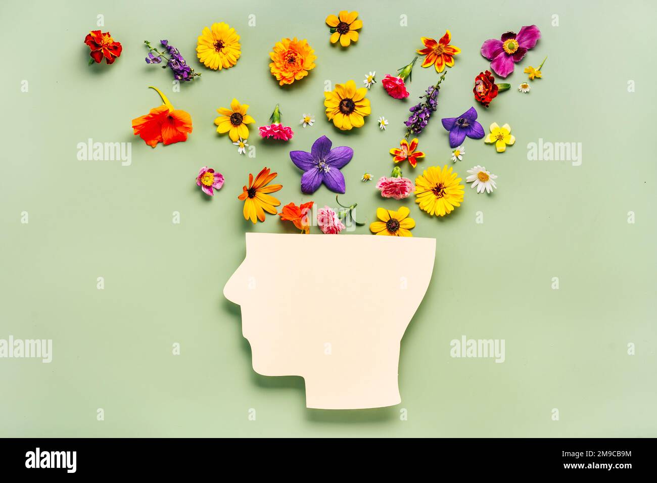 Human head symbol and flowers on blue background Stock Photo - Alamy