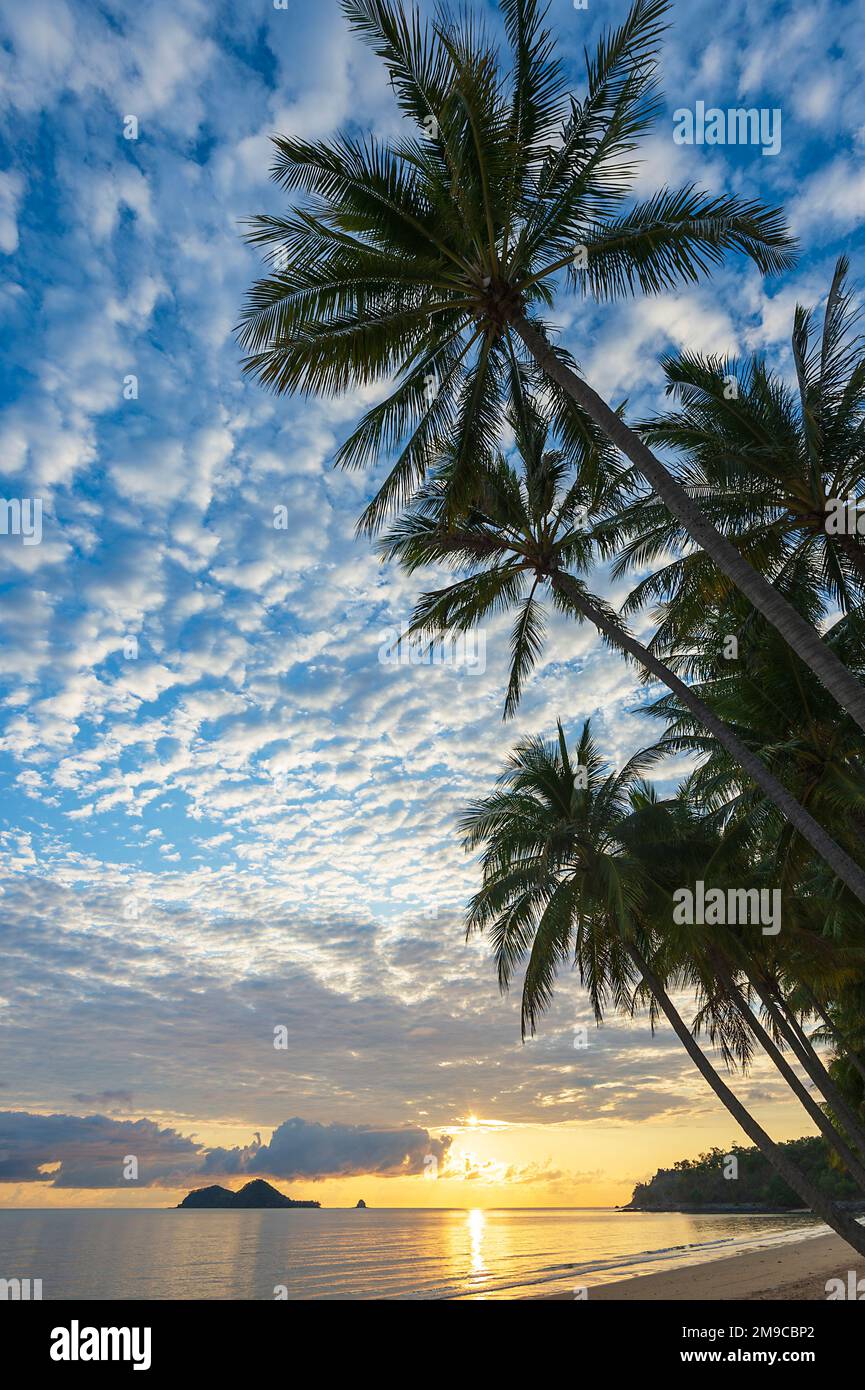 Vertical scenic view of a spectacular sunrise at popular Ellis Beach ...