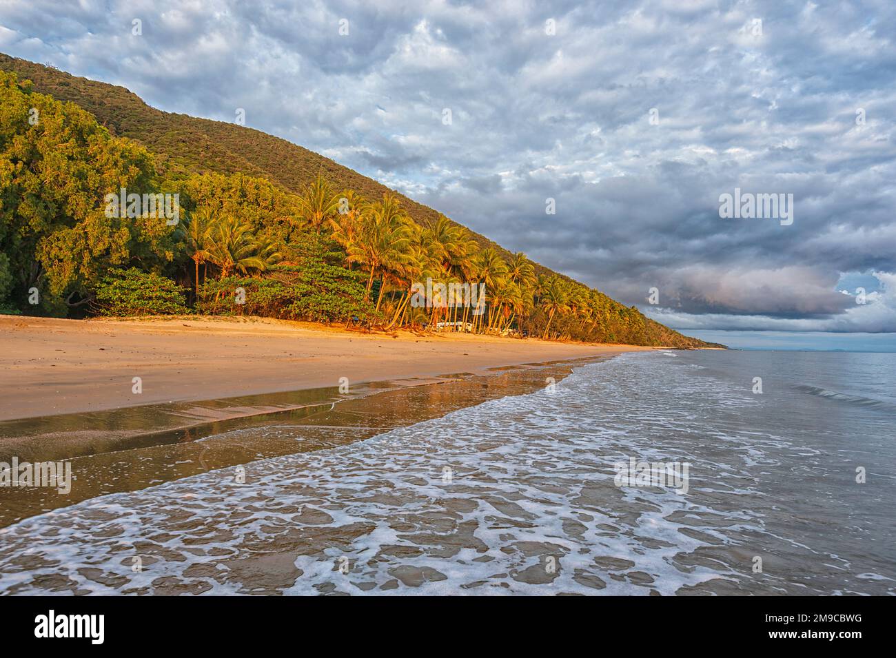Scenic view of golden light on Ellis Beach at sunrise, Cairns Northern ...