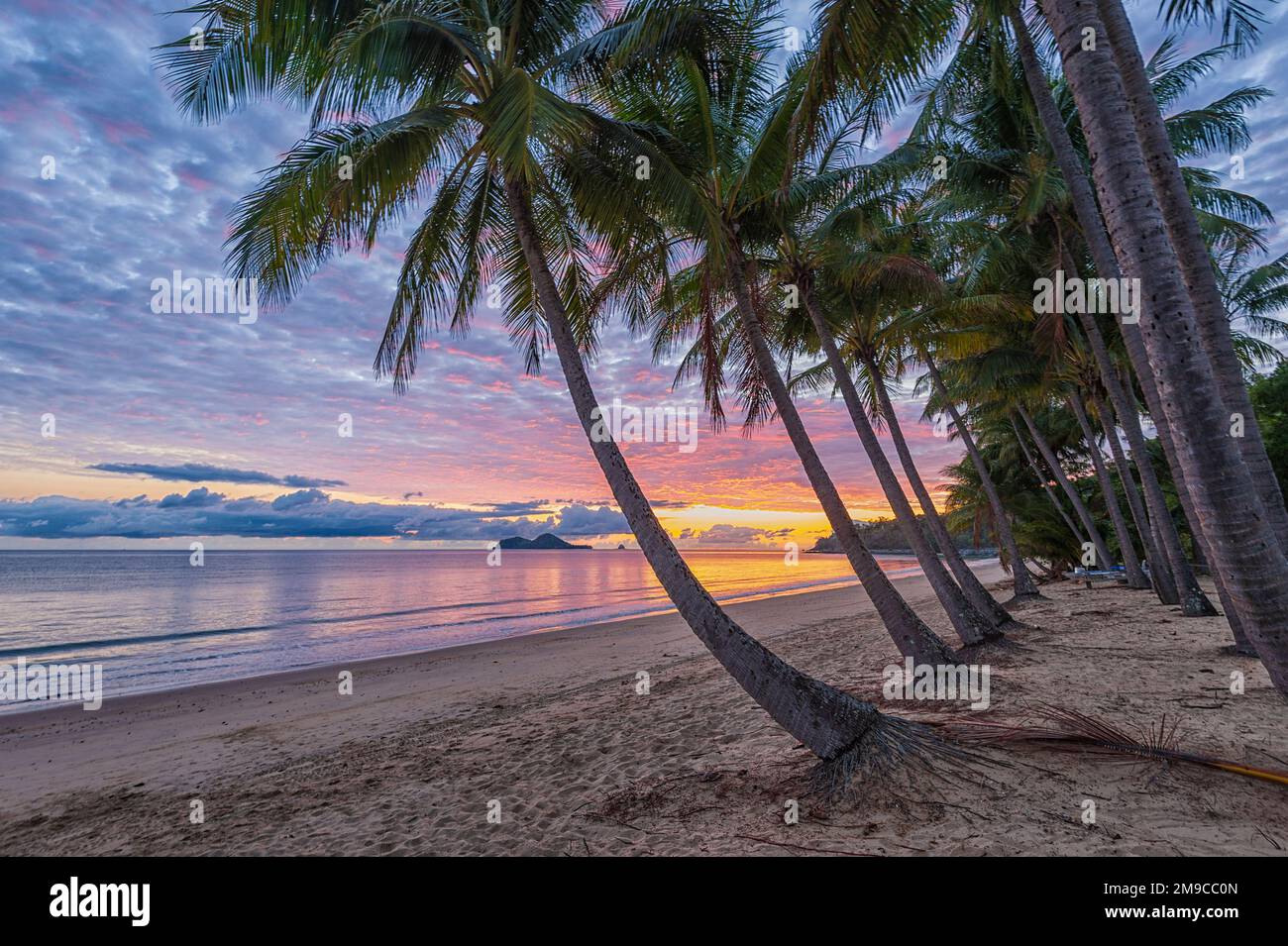 Scenic view of popular Ellis Beach at sunrise with bent palm trees ...