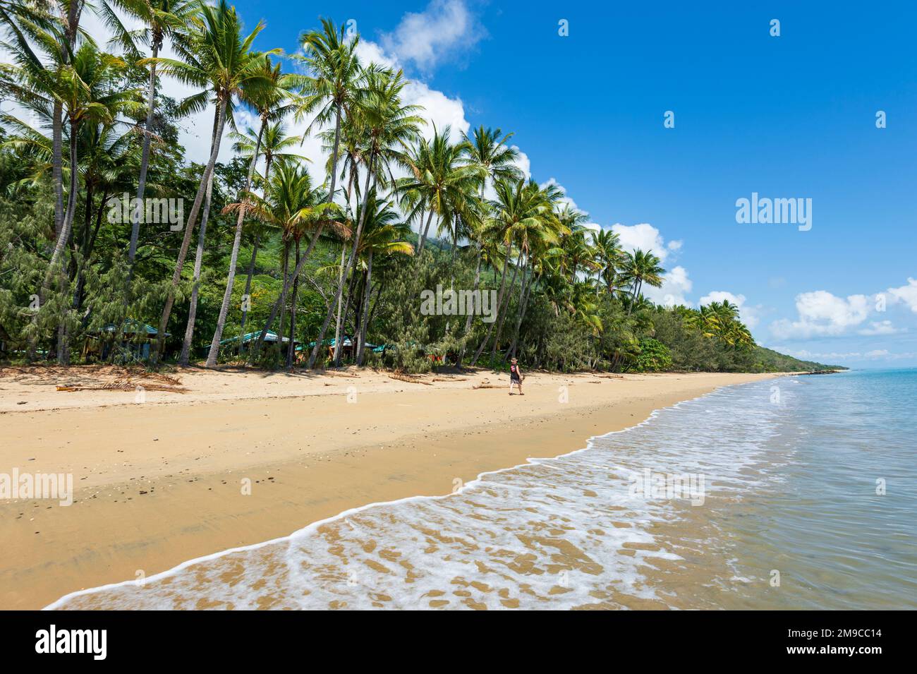 Man walking along the popular tropical sandy beach at Ellis Beach ...