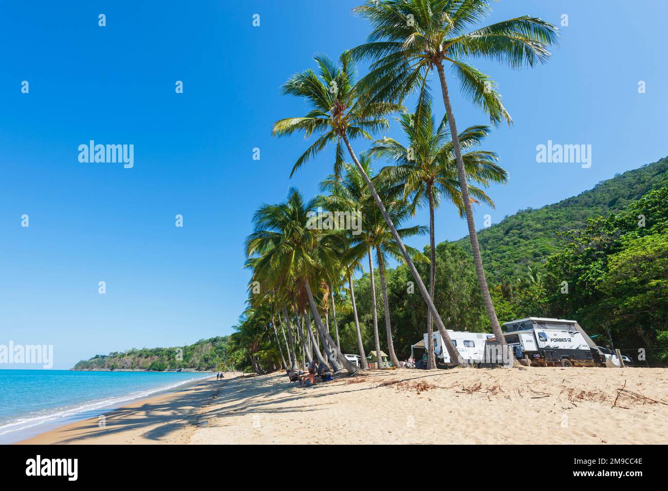 Campsite in the palm trees along the beach at Ellis Beach, Cairns ...