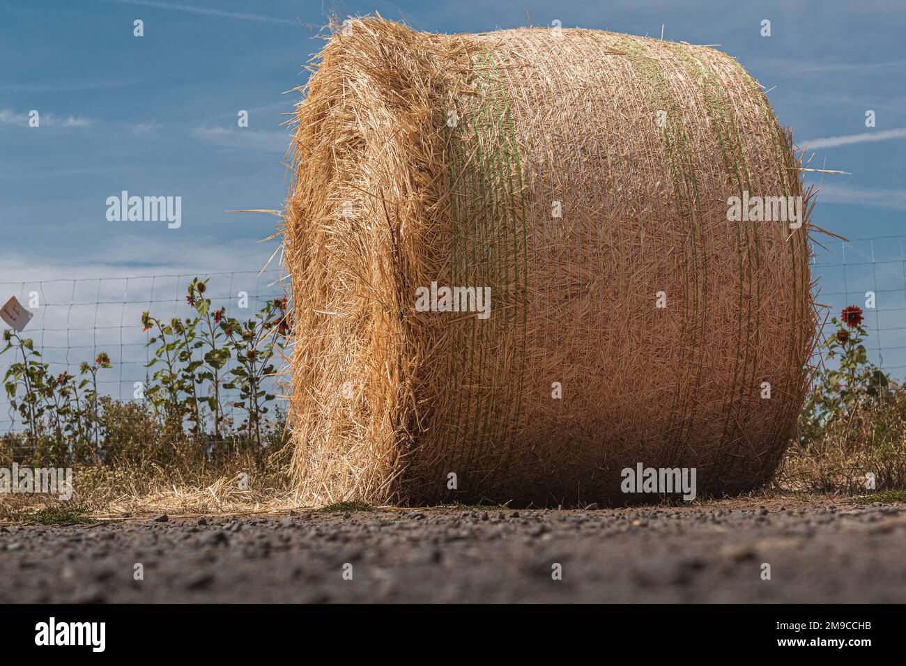 hay bales on asphalt ground with blue sky Stock Photo - Alamy