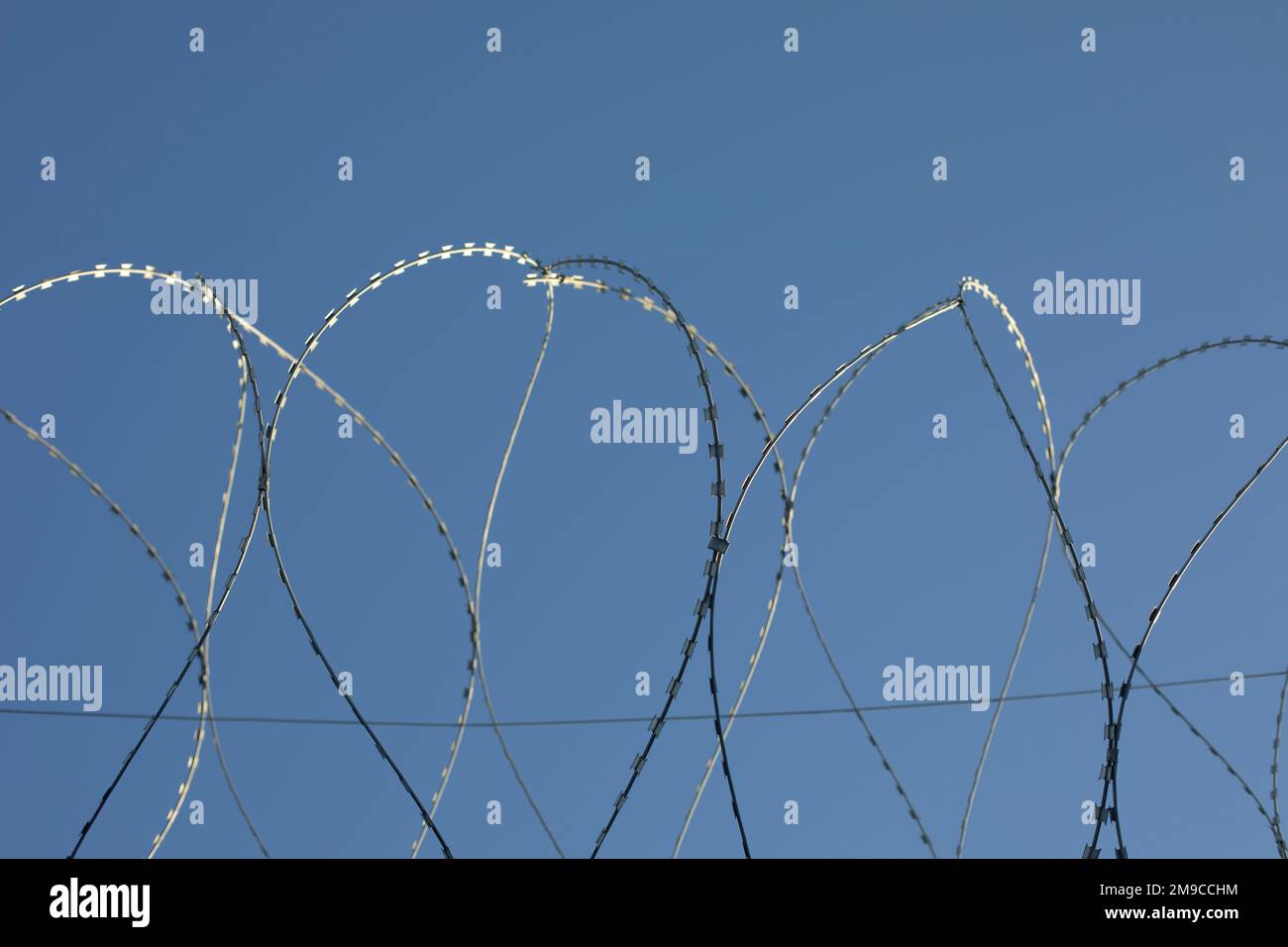 Barbed wire rings on fence. Protected area. Steel wire protection Stock ...