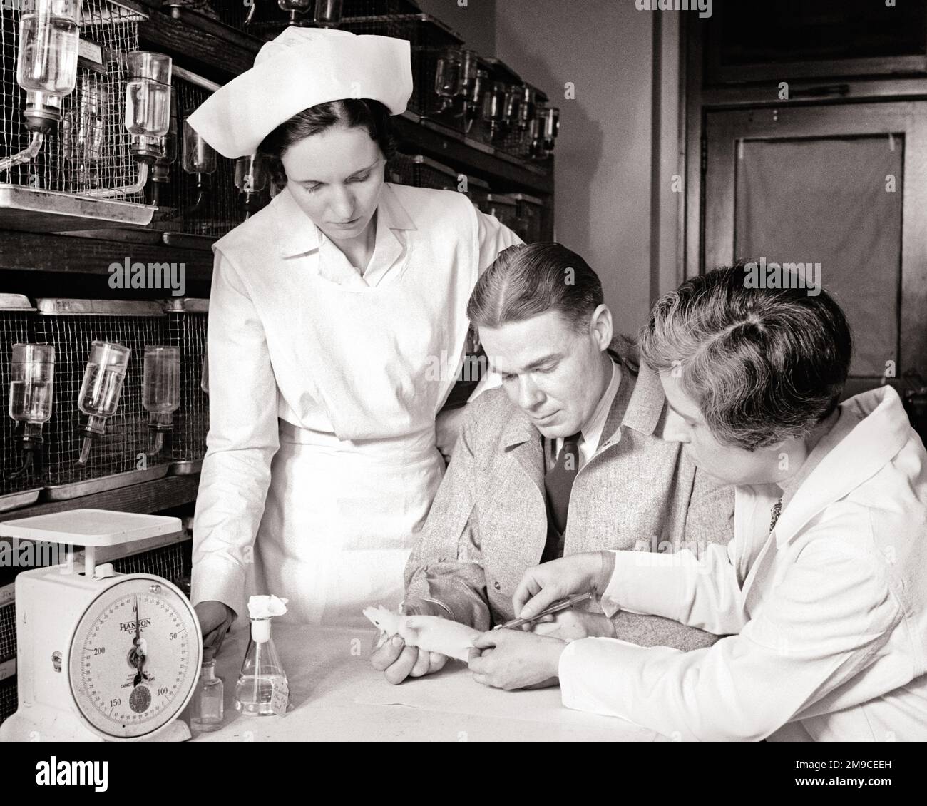 Lab rat hi-res stock photography and images - Alamy