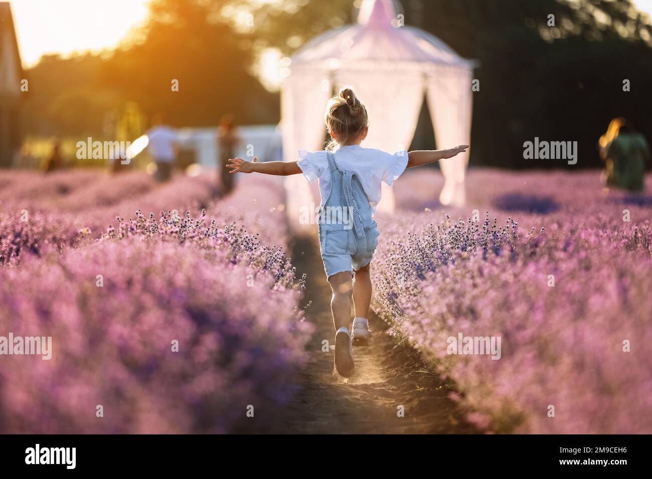 Back view of happy child girl runs raising her hands like flying plane ...