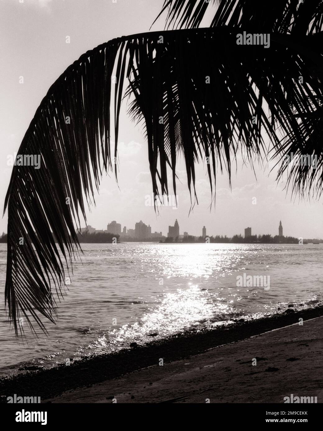 1940s beach florida hi-res stock photography and images - Alamy