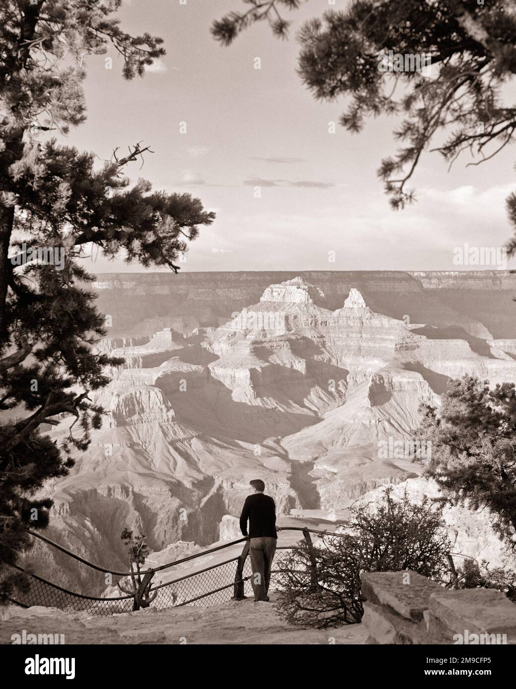 American tourist 1950s hi-res stock photography and images - Alamy