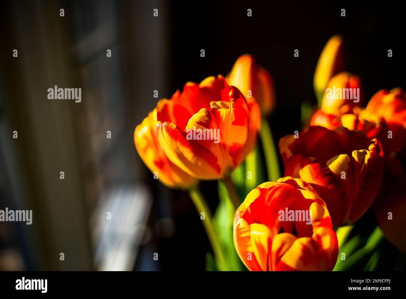 Warm bright hi-res stock photography and images - Alamy