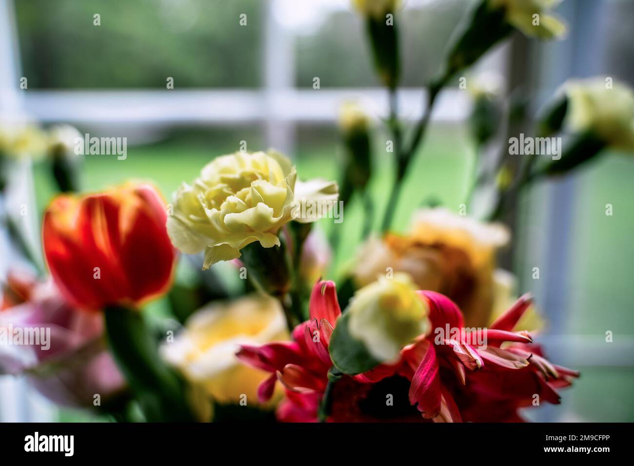 Pastel Carnation Among Flower Bouquet Against Window Stock Photo - Alamy