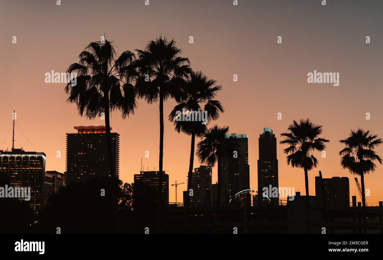 city skyline at sunset miami palms Stock Photo - Alamy