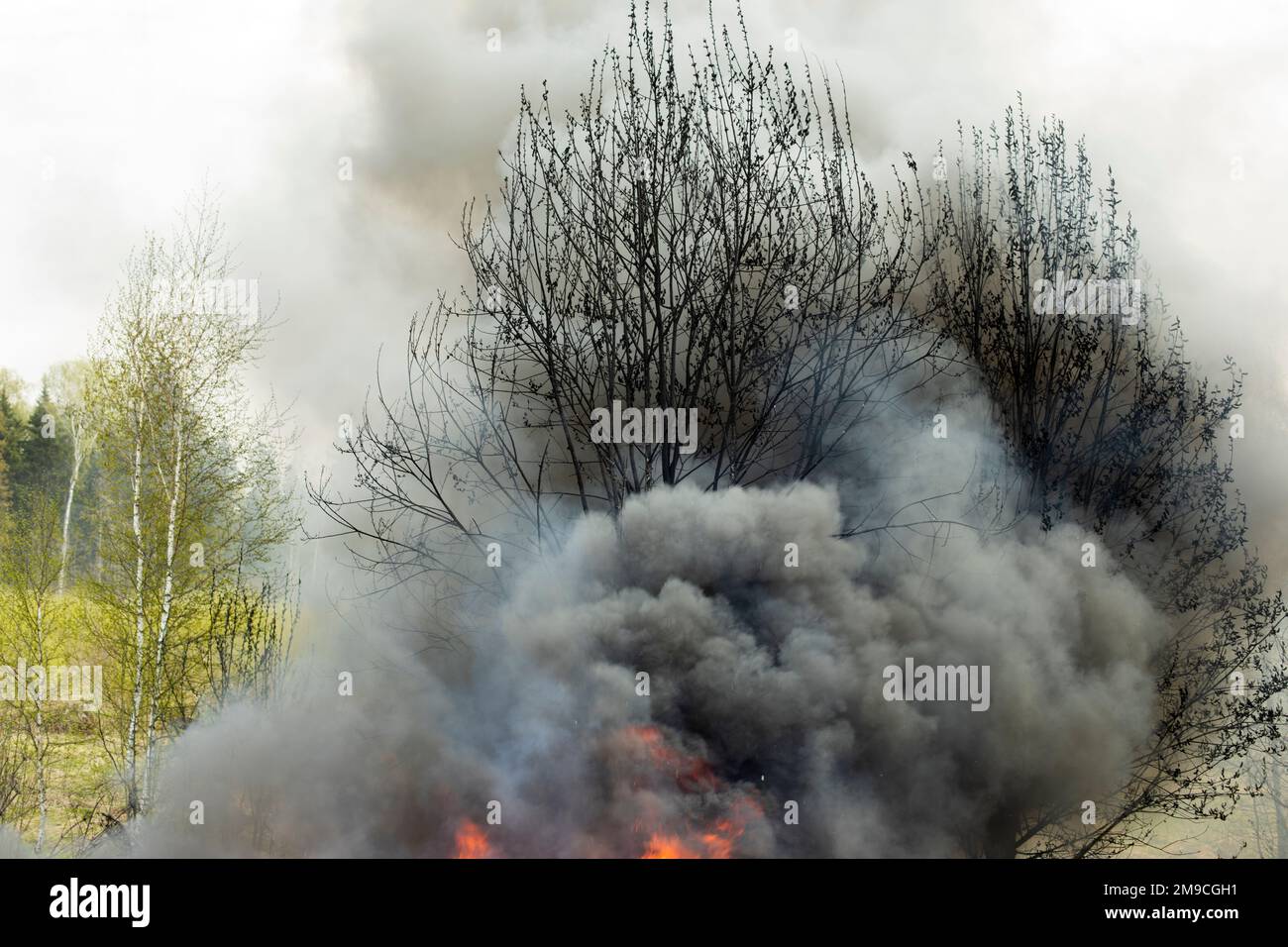 Black smoke from fire. Burning of garbage. Destruction of nature Stock ...