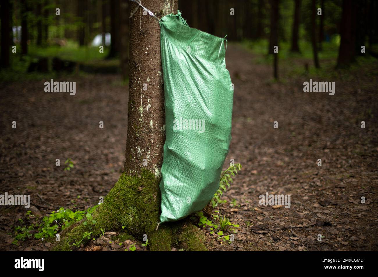 Green garbage collection bag. Waste collection in forest Stock Photo ...