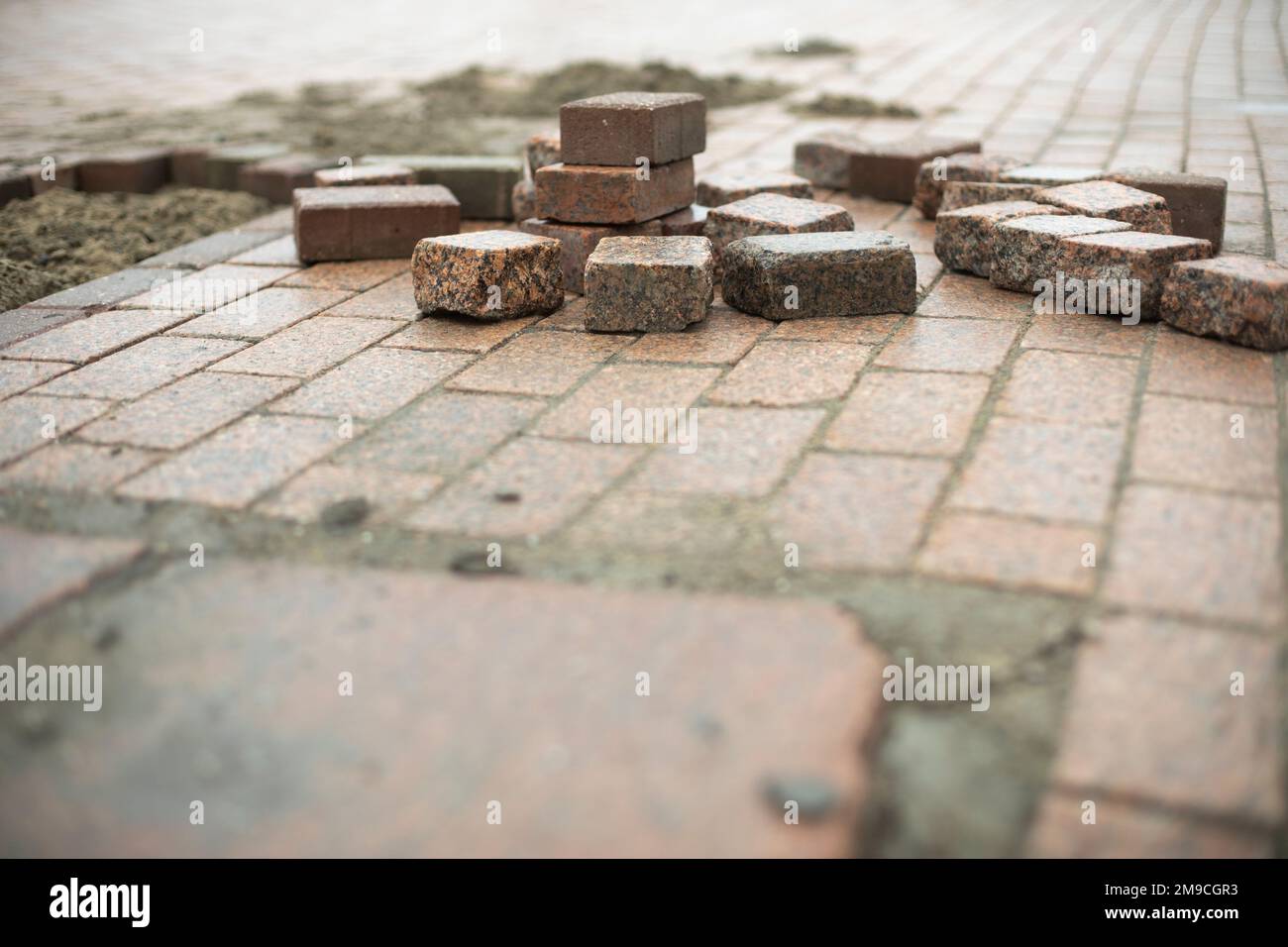 Man laying paving tiles hi-res stock photography and images - Alamy