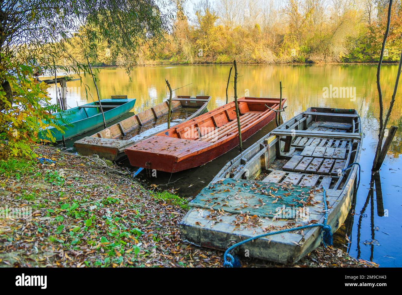 Abandoned fishing boats along River Bodrog Stock Photo - Alamy