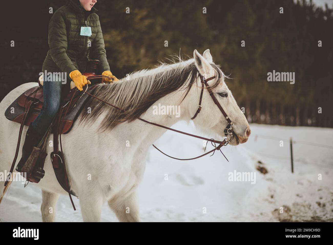 Teen girl riding white horse in winter Stock Photo - Alamy