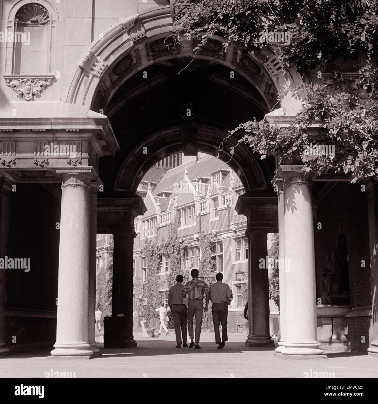 1960s THREE SILHOUETTED MALE COLLEGE STUDENTS WALKING THROUGH AN ...