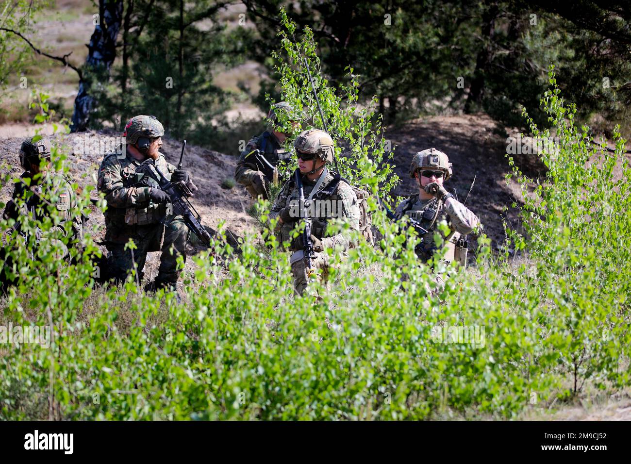 21st panzer division hi-res stock photography and images - Alamy
