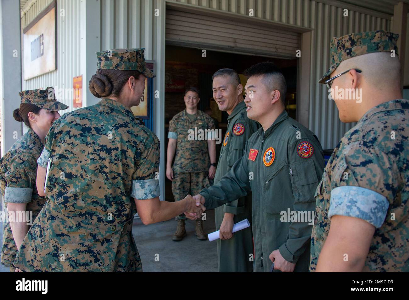 U.S. Marine Lt. Col. Bridget N. Young, the commanding officer of Marine ...