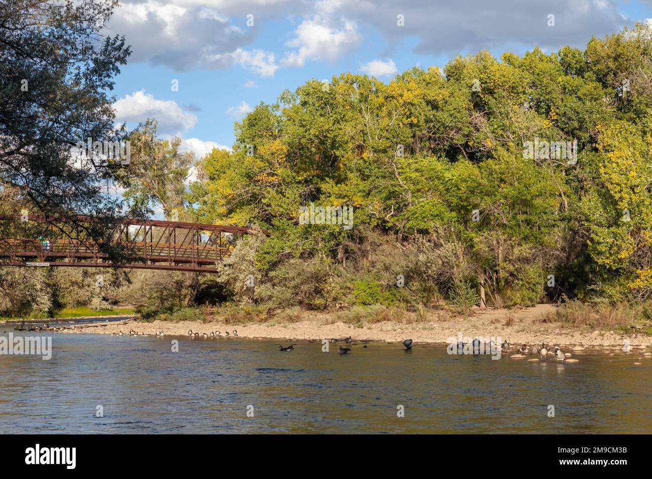 Animas park hi-res stock photography and images - Alamy