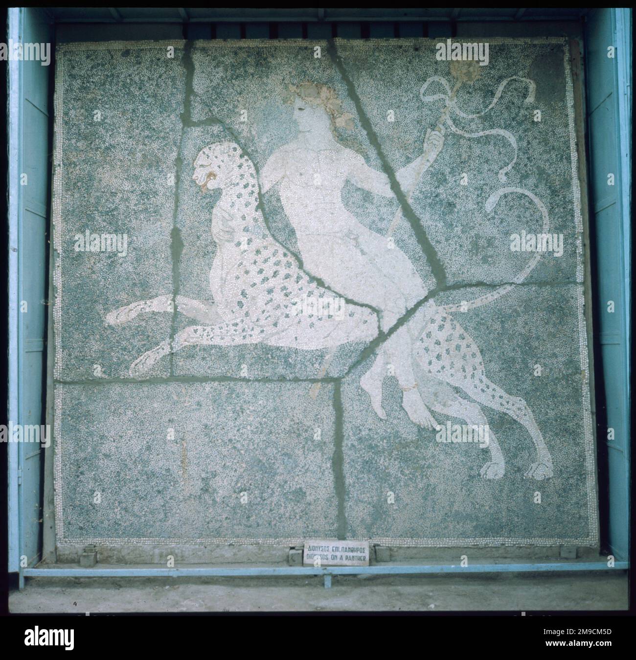 Dionysus riding a leopard Mosaic at Pella, near Salonika Stock Photo ...