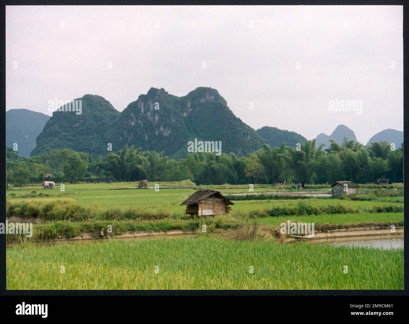 Rice fields of Southern China, with limestone hills in the background ...