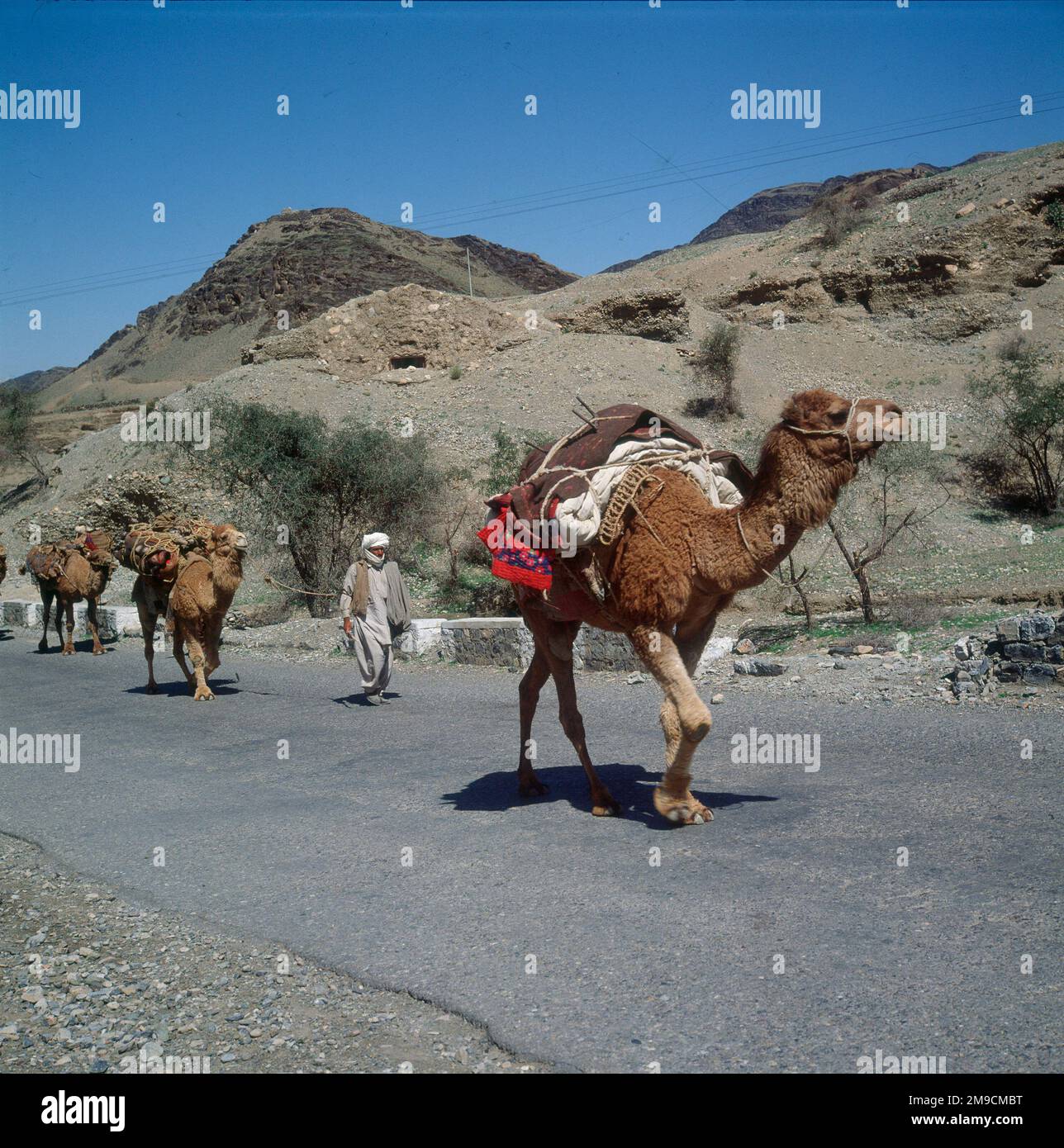 Passcamels hi-res stock photography and images - Alamy