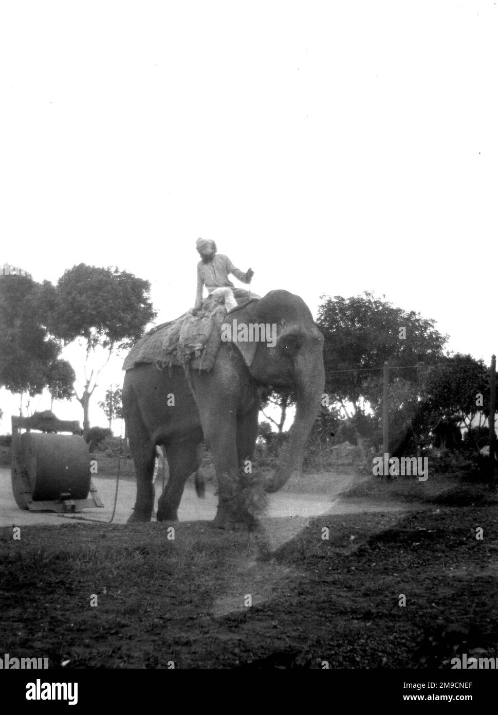 Lawn rolling hi-res stock photography and images - Alamy